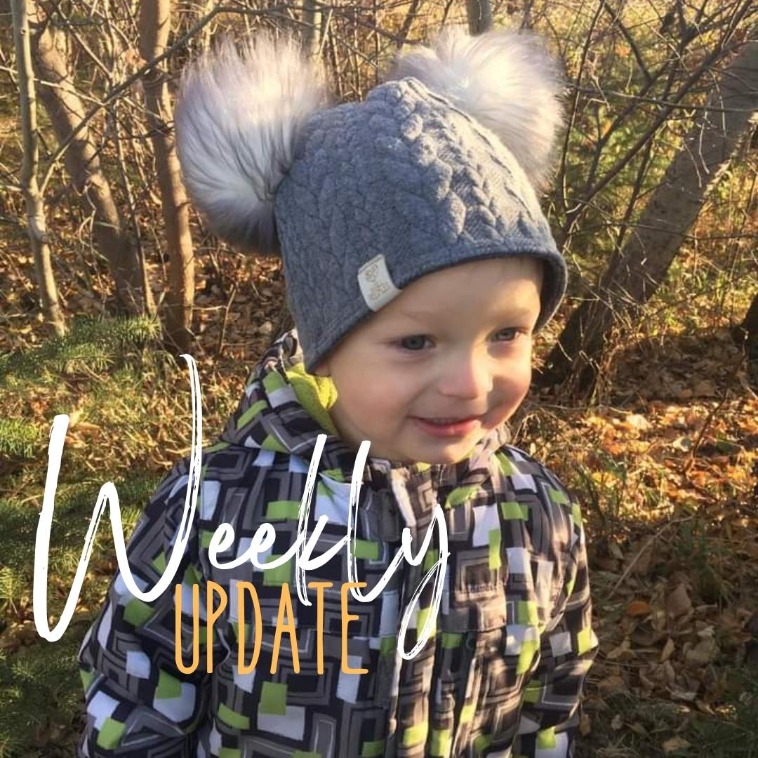 Weekly Update - Thursday, Oct 13th, 2022 — Shear Perfection Fabric